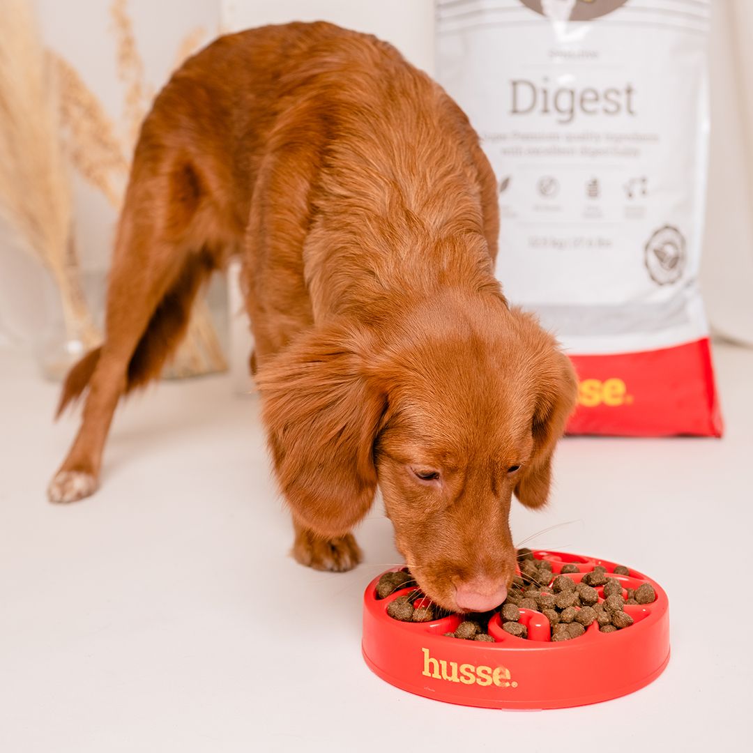 Sensitive Digest, 12.5kg - Husse Natural Complete Adult Dry Dog Food ...