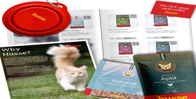 Kitten - Sample Pack: 1 pack (UK) | 1 pack | kitten_sample_pack