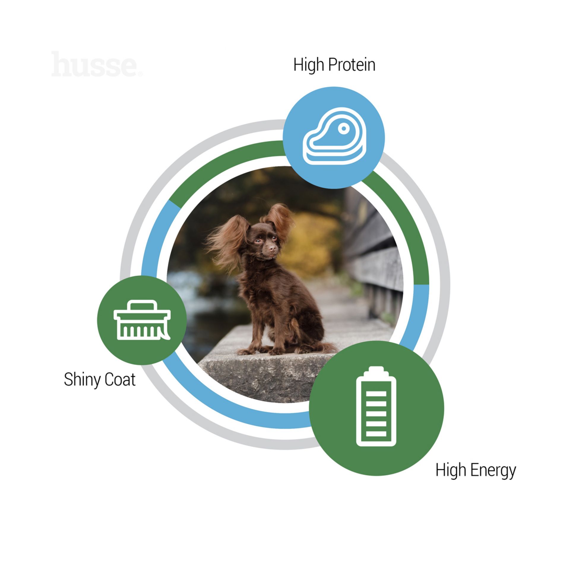 Optimal Mini, 2kg - Husse Small Breed Natural Complete Adult Dry Dog ...