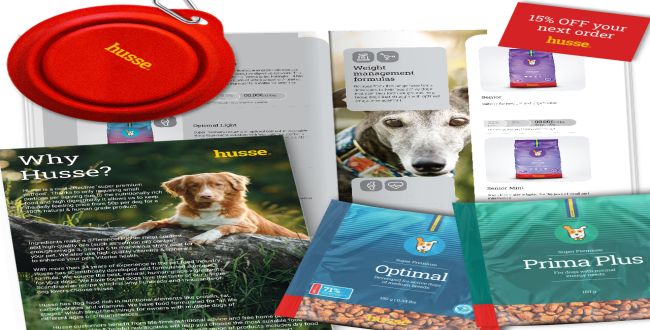 Medium Adult Dog - Sample Pack: 1 pack (UK) | 1 pack | adult_dog_medium ...